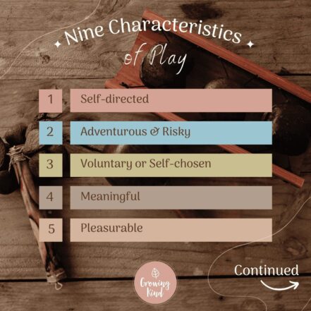 The Nine Characteristics of Play Blog