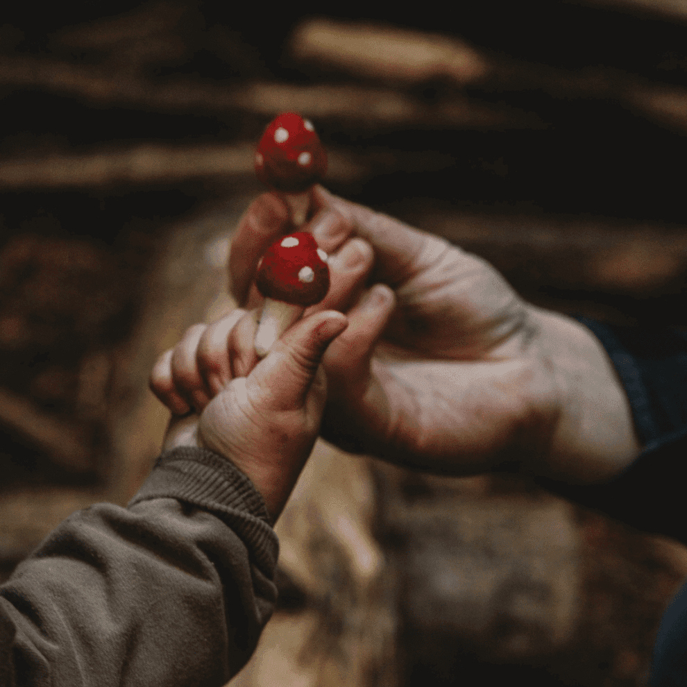 Growing Kind | Educational Toys Online Australia