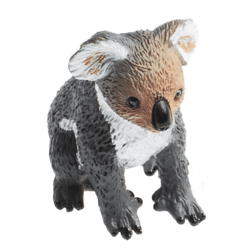 Koala Replica (Small) by Science & Nature – Growing Kind