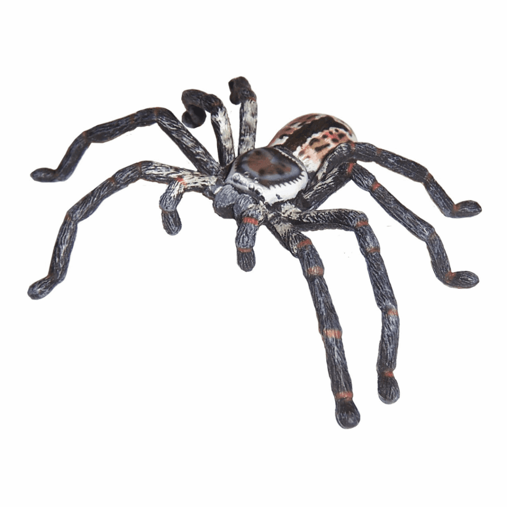 Huntsman Replica (Small) by Science & Nature