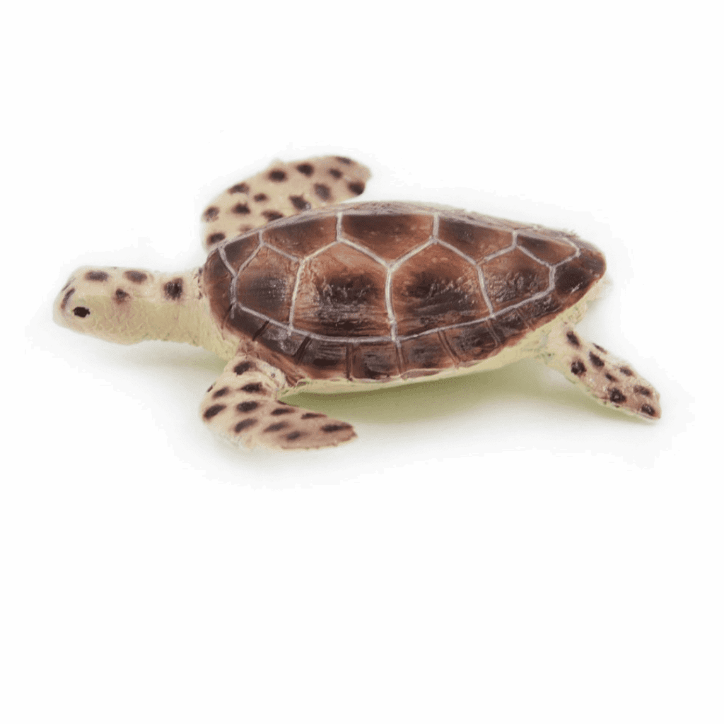 Green Turtle Replica by Science & Nature