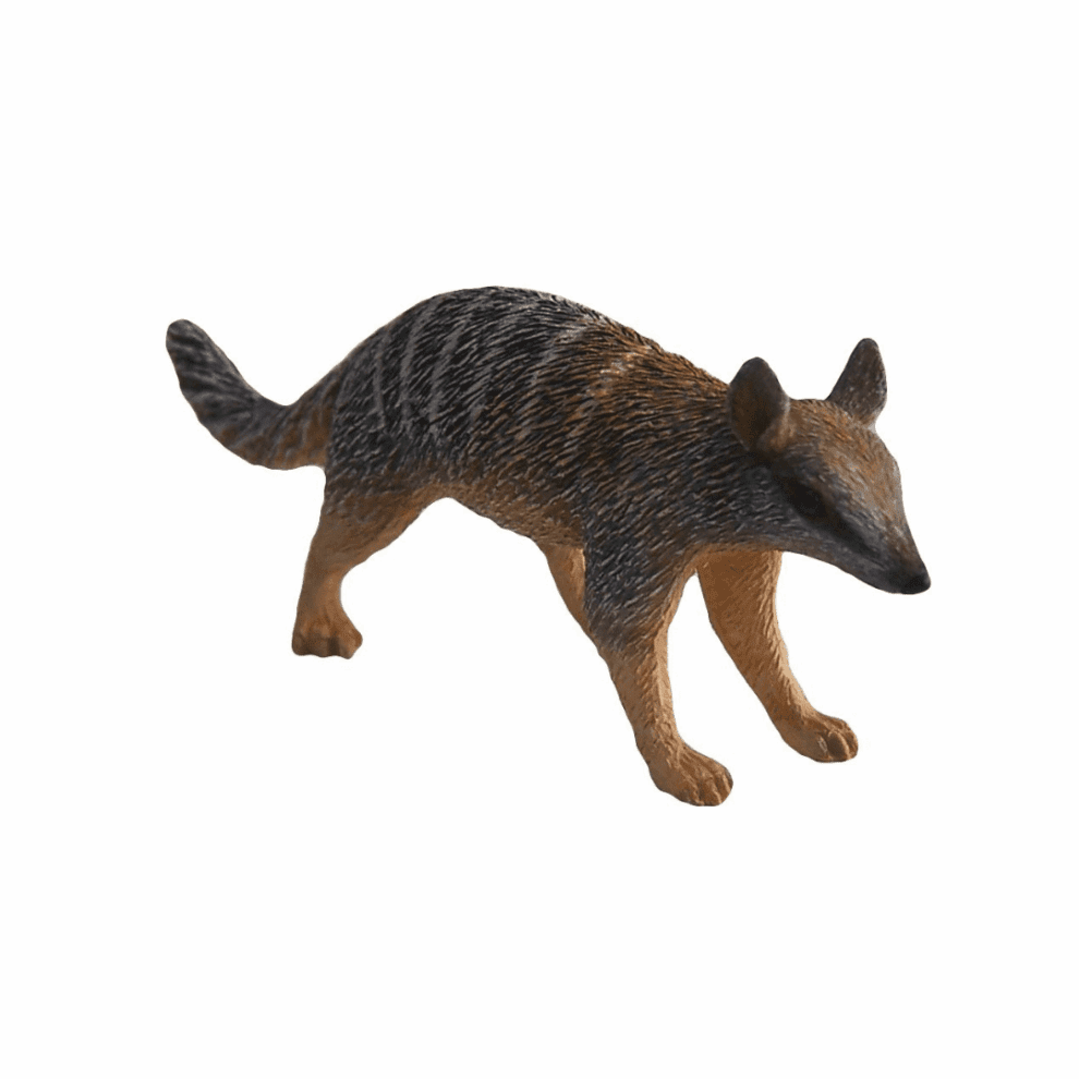 Numbat Replica by Science & Nature