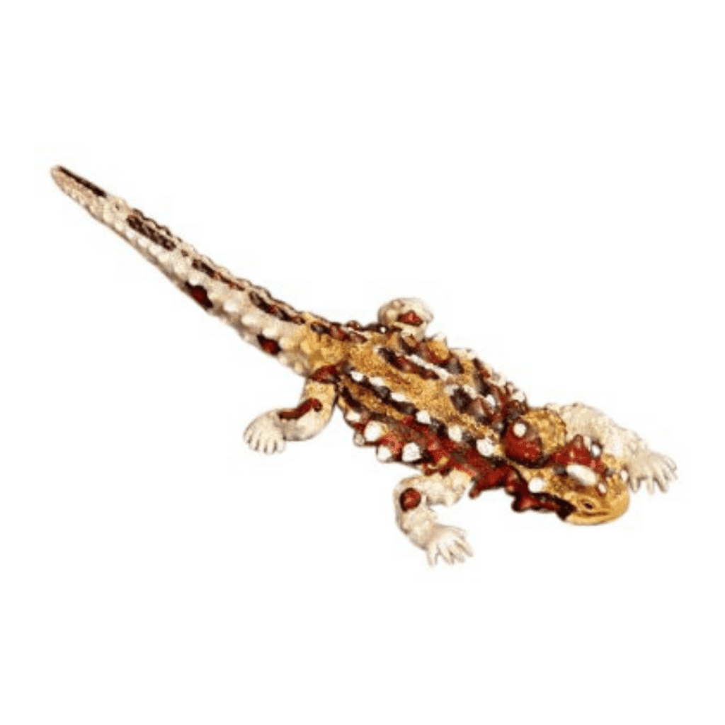 Thorny Devil by Science & Nature