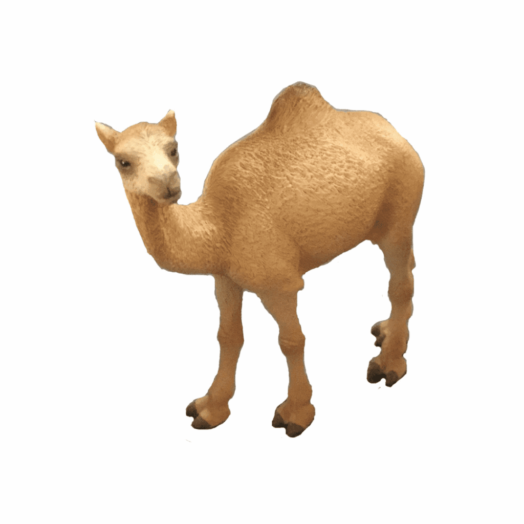 Camel Replica by Science & Nature
