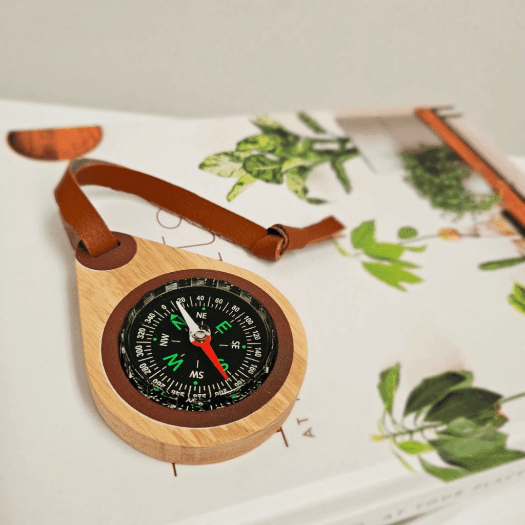 Wooden Compass by QToys